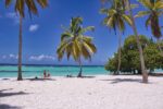 The 10 Best Tropical Fragrances for Candle Making | Holm and Sol